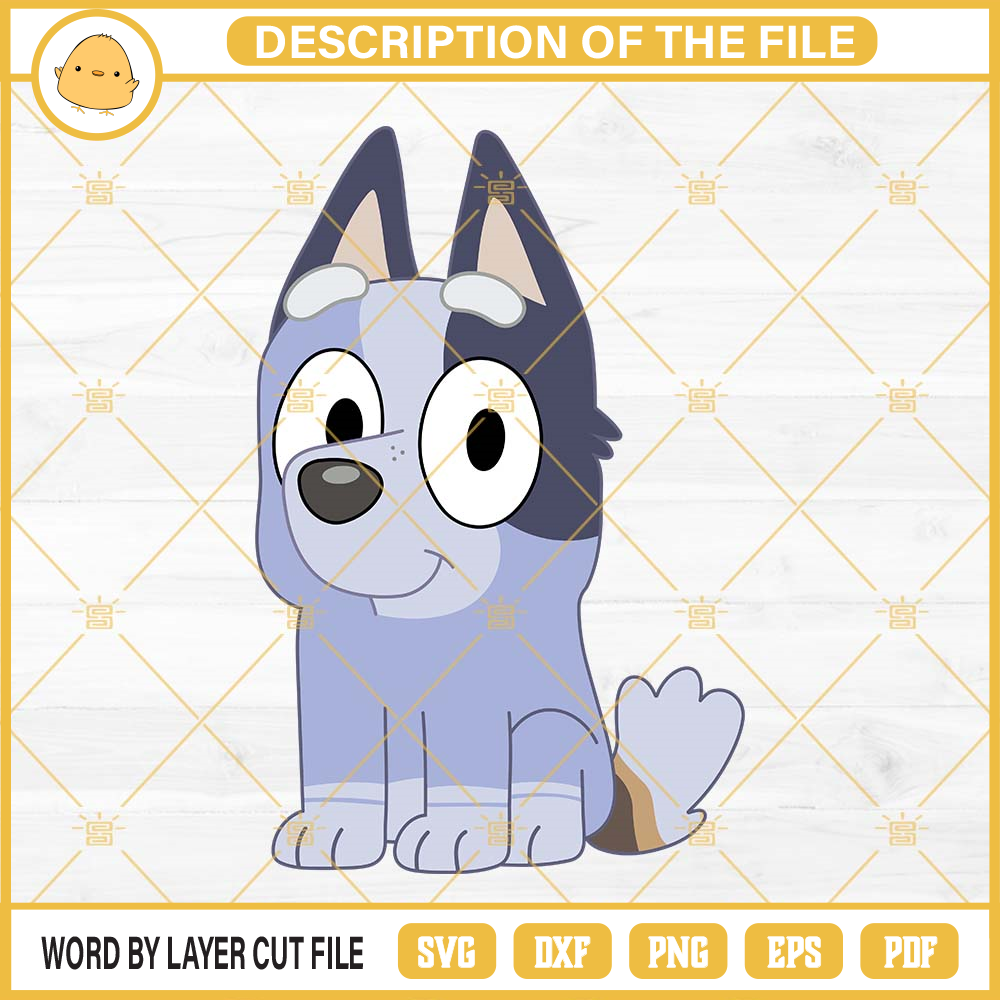 Socks Bluey SVG, Bluey Family SVG, Bluey Characters SVG1312 | Inspire ...
