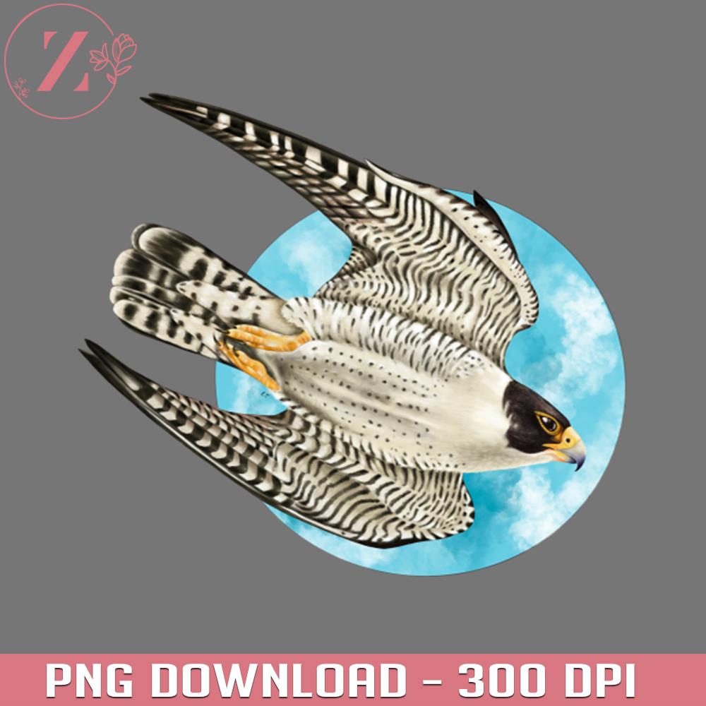 Peregrine Falcon in Flight Hunter Hunter Anime PNG download | Inspire ...