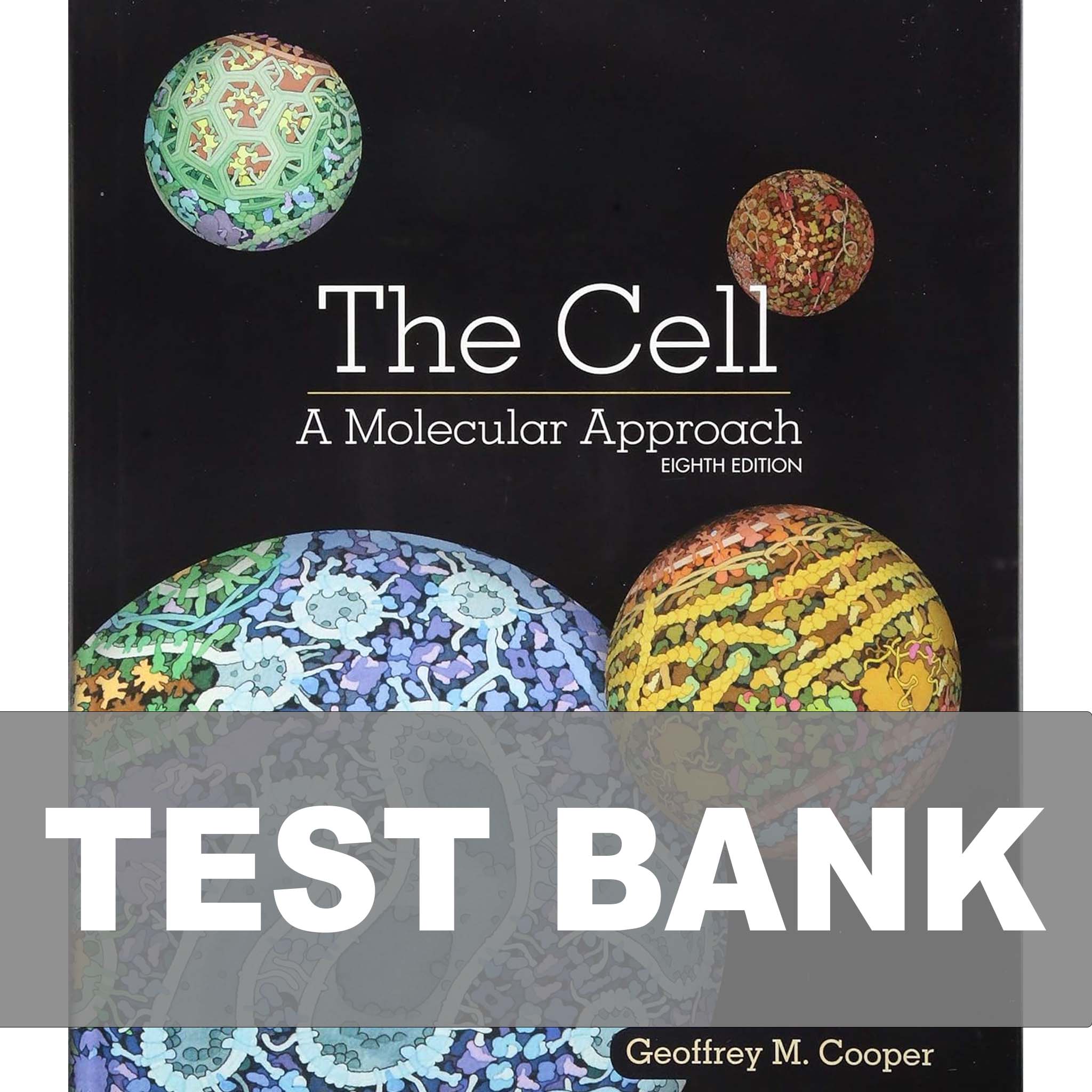 The Cell A Molecular Approach 8th Edition TEST BANK | Inspire Uplift