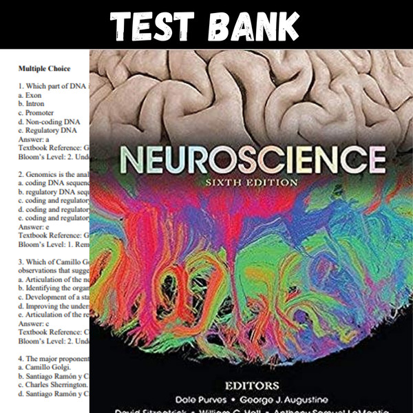 Latest 2023 Neuroscience 6th Edition by Purves bank | All Ch | Inspire ...