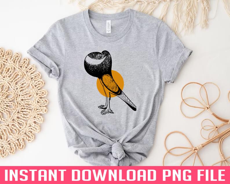 humming dove PNG Download | Inspire Uplift