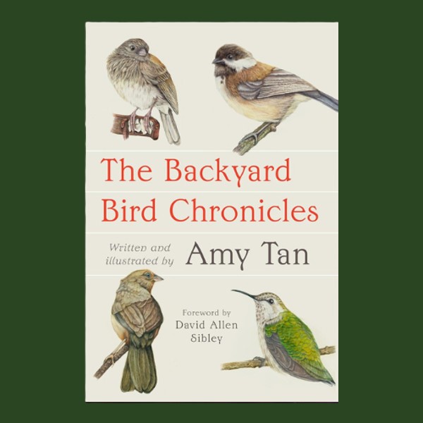 The Backyard Bird Chronicles by Amy Tan | Inspire Uplift