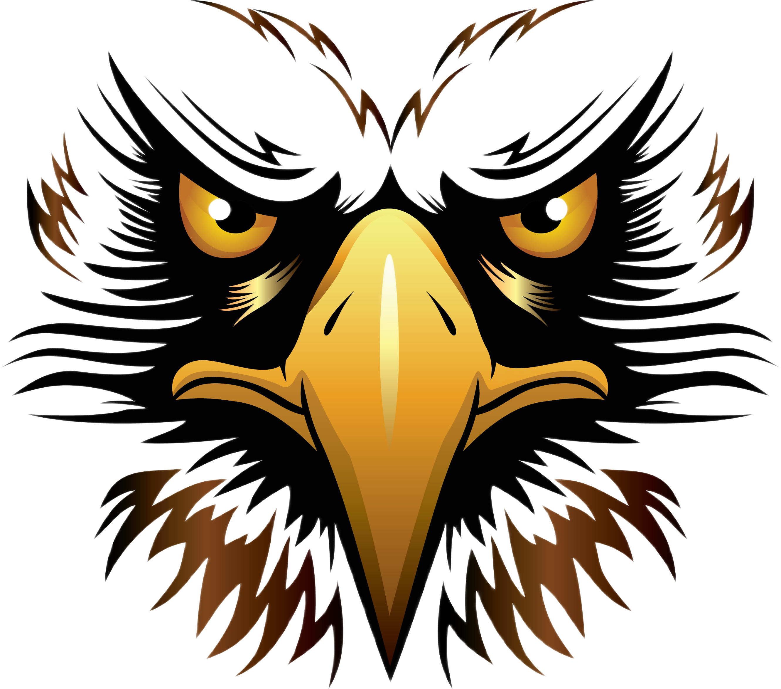 eagle head png, eagle look, eagle claw, eagle beak, sky eagl | Inspire ...