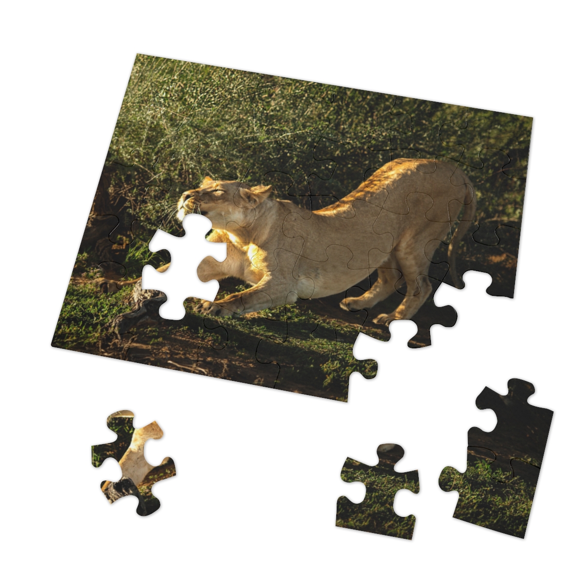 Animal Puzzle, Nature Puzzle, Puzzle for Kids Ages 9,252-Pie | Inspire ...