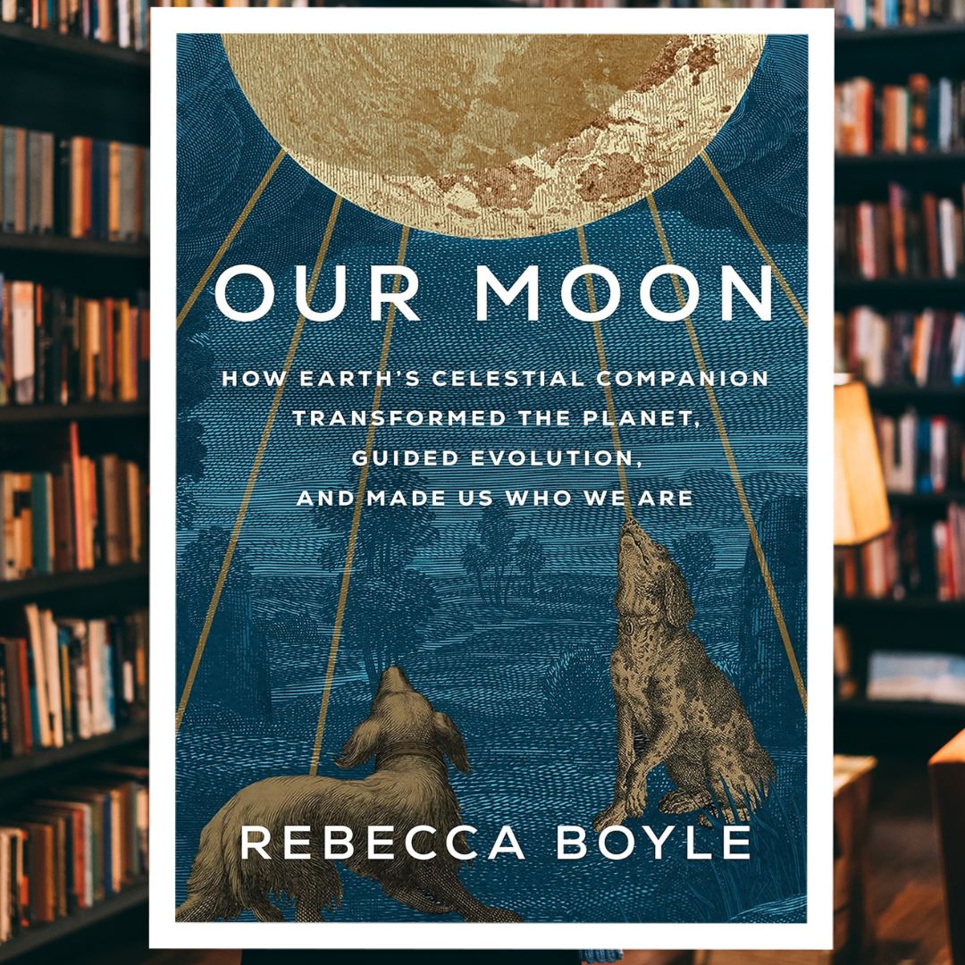 Our Moon: How Earth's Celestial Companion Transformed the Pl | Inspire ...
