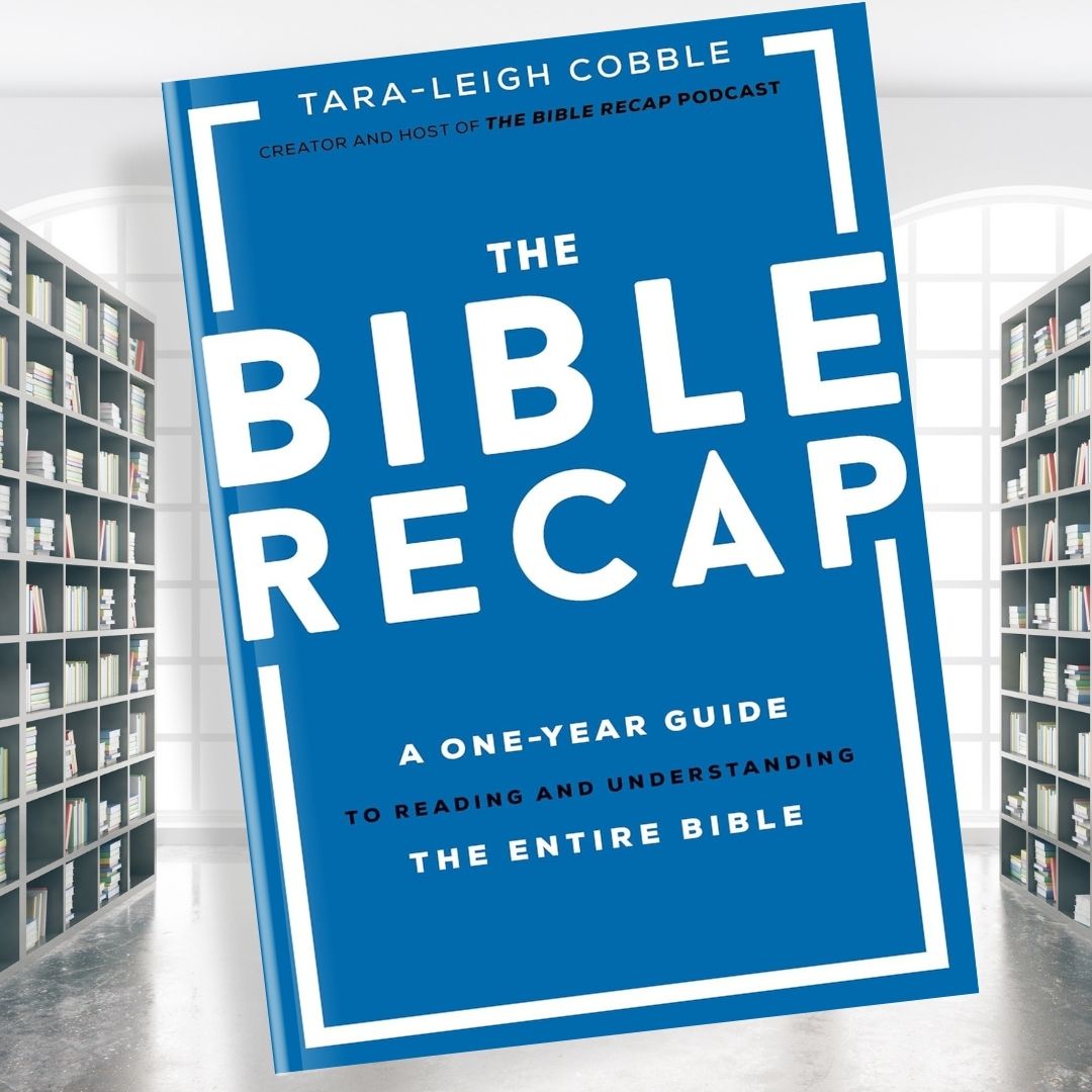 The Bible Recap: A One-Year Guide to Reading and Understandi | Inspire ...