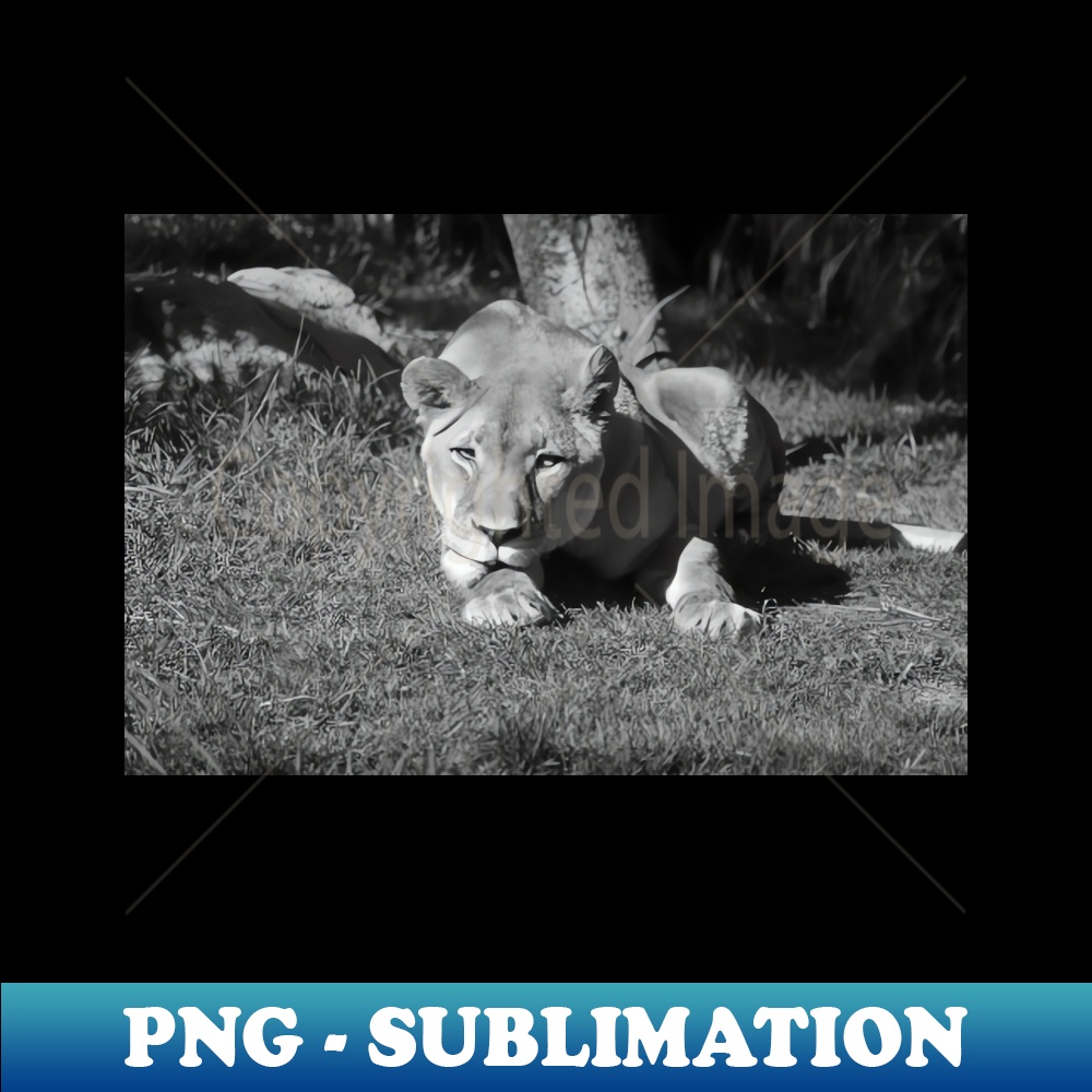 Lioness - Retro PNG Sublimation Digital Download - Perfect f | Inspire ...