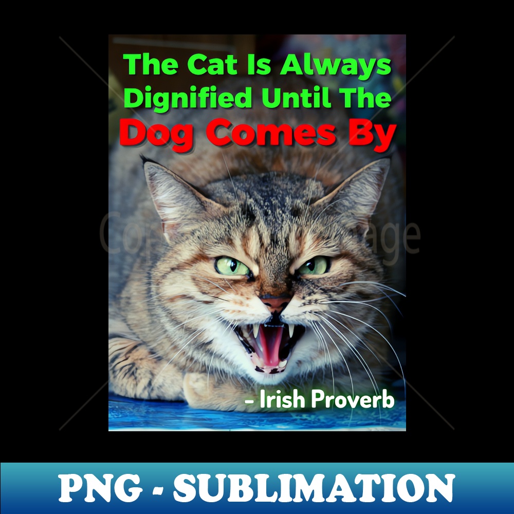 Irish Proverb - The Cat Is Always Dignified Until The Dog Co | Inspire ...