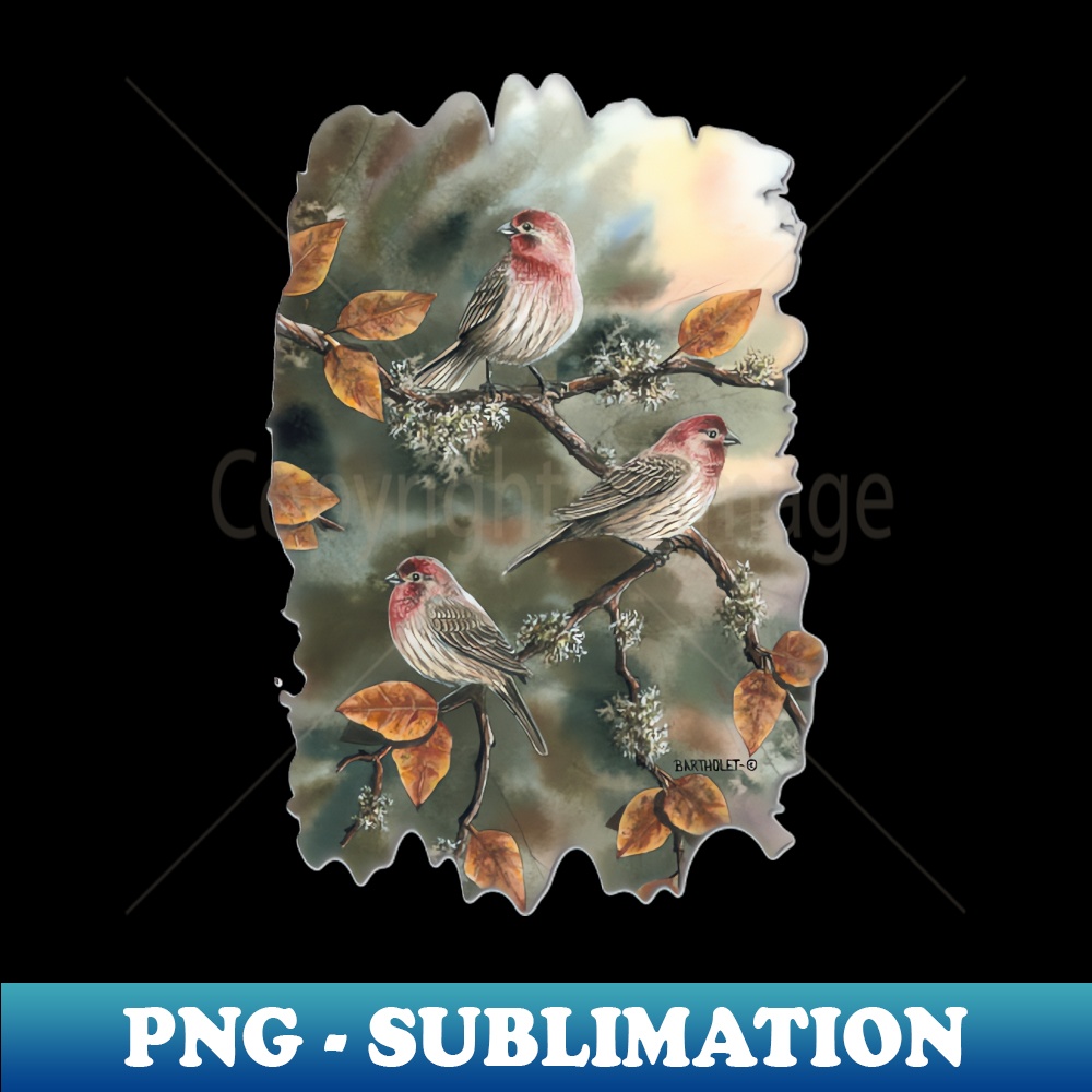 House finches - Creative Sublimation PNG Download - Vibrant | Inspire ...