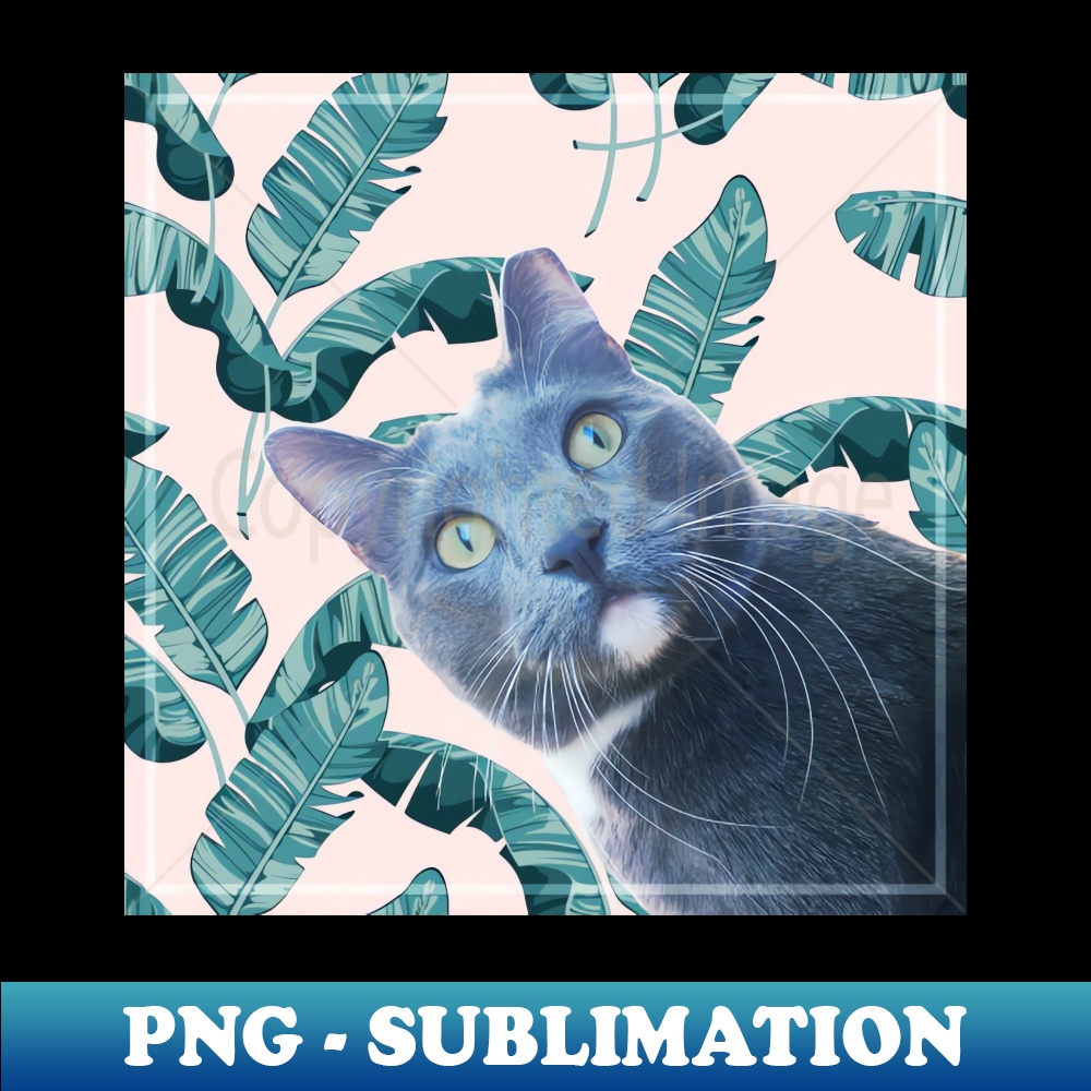 Summer of Roger the Cat Pastel Pink Palm Leaves - High-Resol - Inspire ...