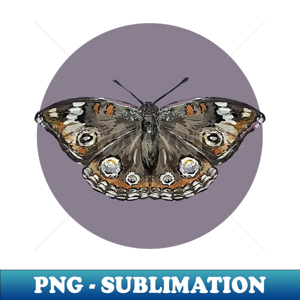 Common buckeye butterfly purple - PNG Transparent Sublimatio - Inspire ...