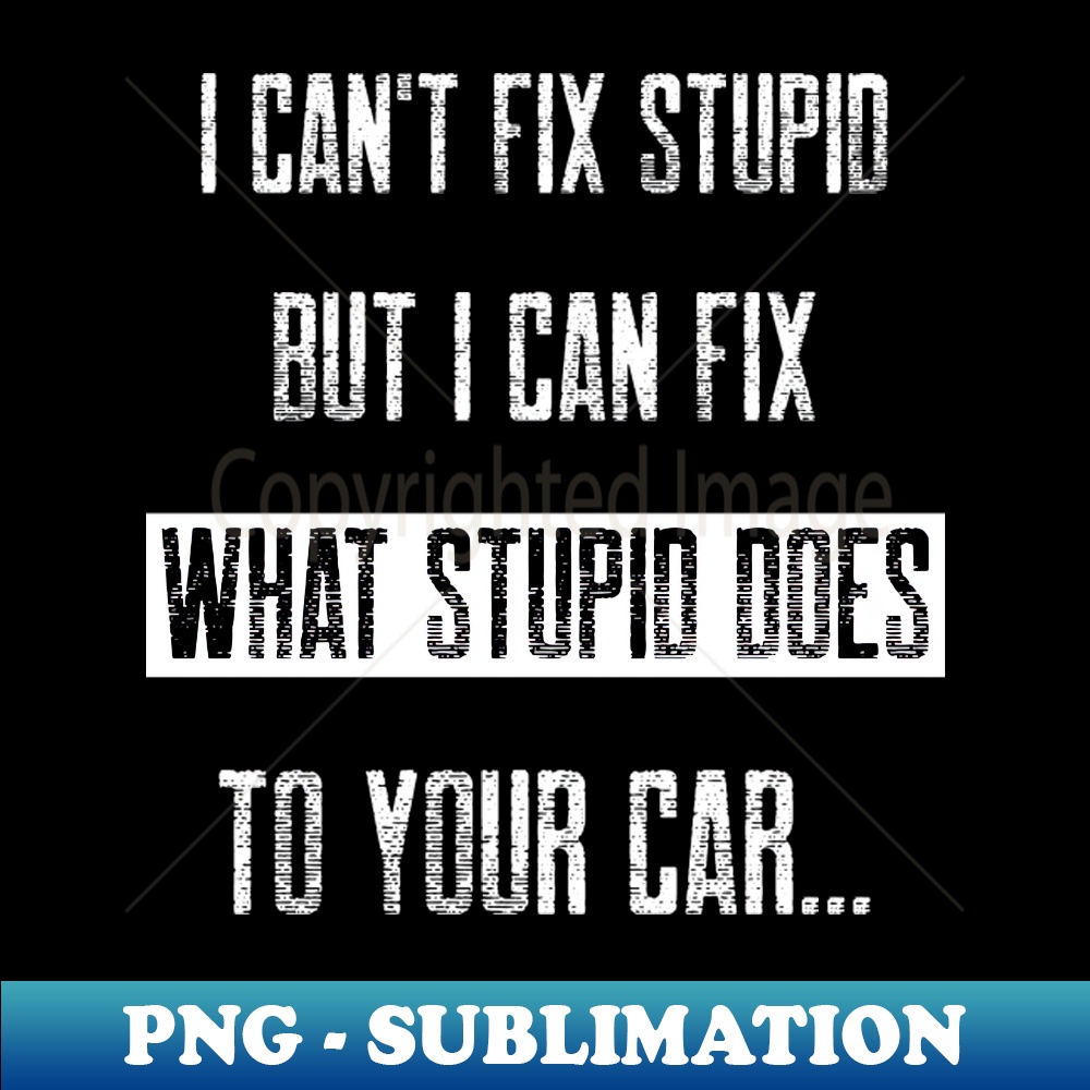 I cant fix stupid But I can fix what stupid does to your car | Inspire ...