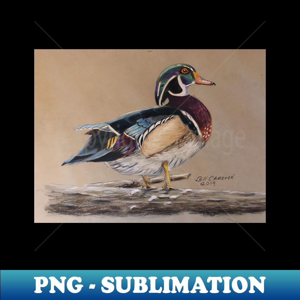 Wood Duck - Premium PNG Sublimation File - Perfect for Subli | Inspire ...