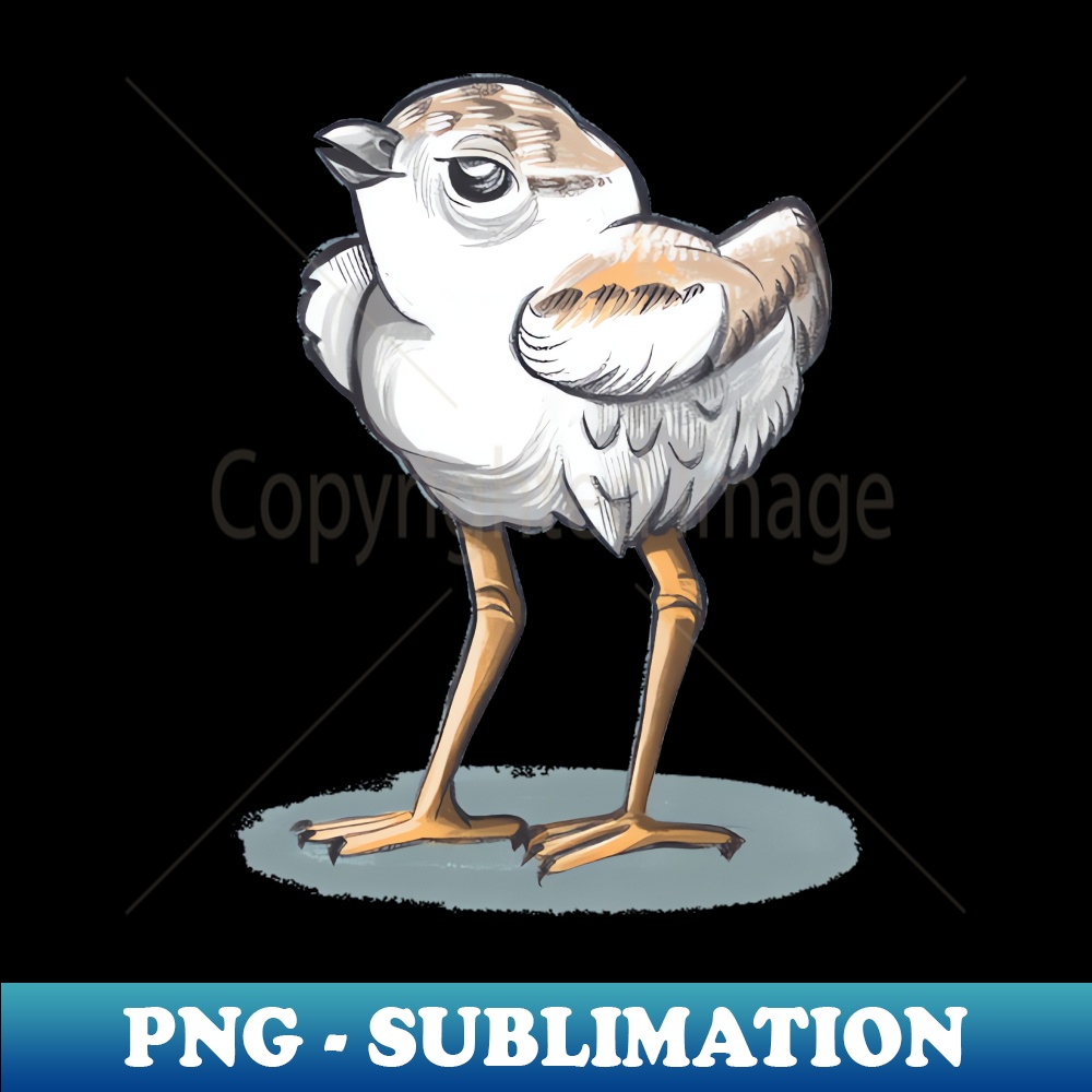 piping plover bird - PNG Transparent Sublimation Design - Re | Inspire ...