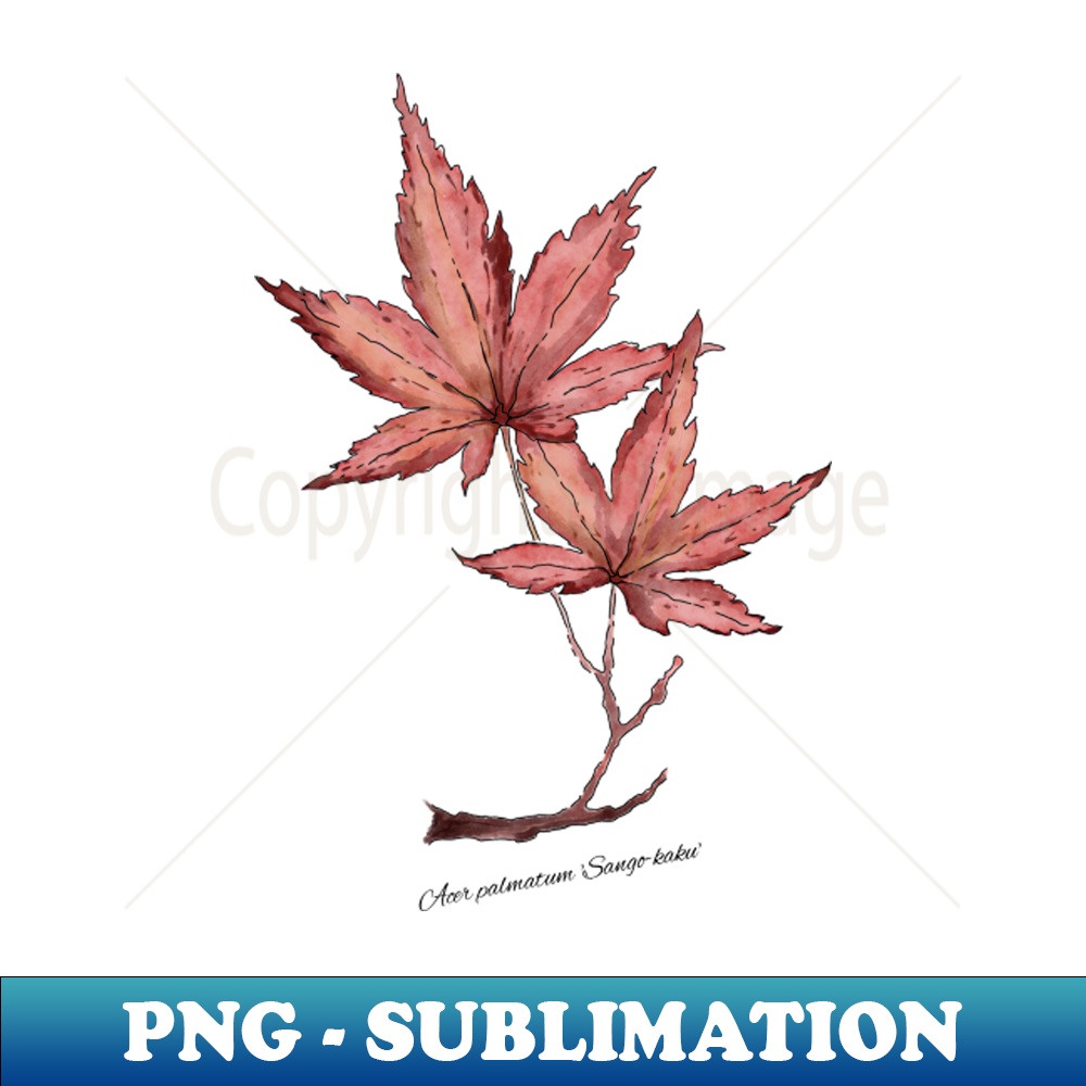 Japanese Maple - Creative Sublimation PNG Download - Bring Y | Inspire Uplift