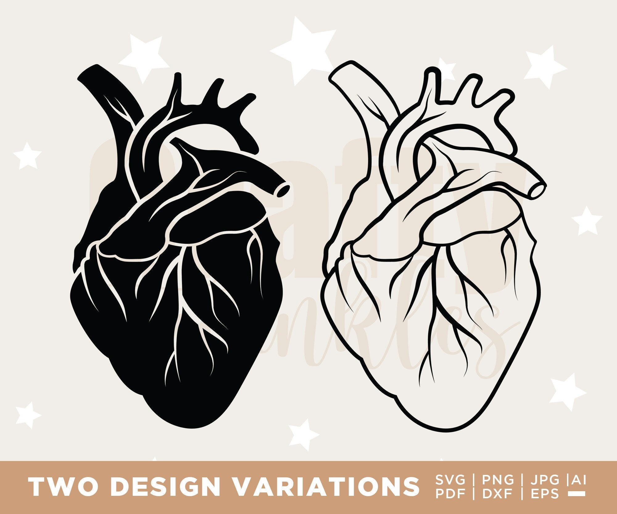 Anatomical Heart Svg, Heart svg, Nurse Life, Medical Doctor | Inspire ...
