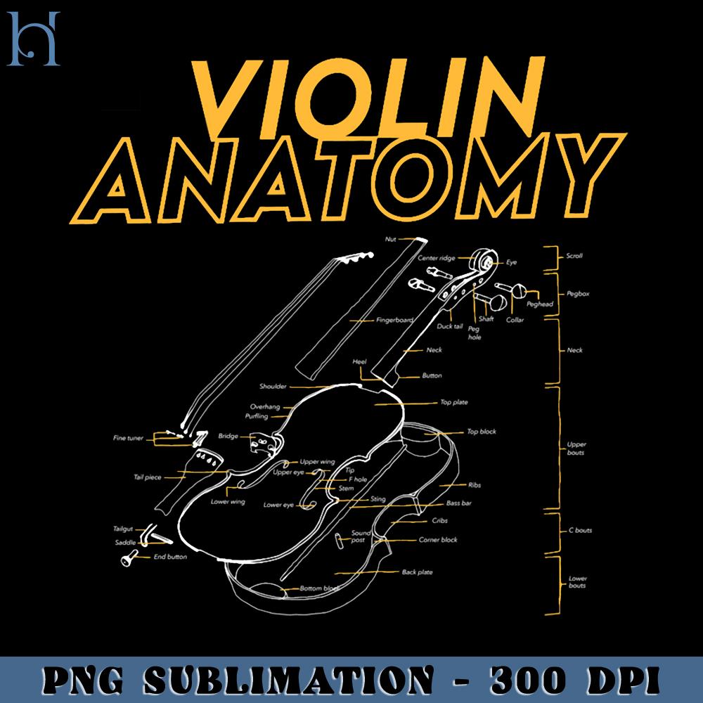 twoset violin violin anatomy drawing diagram limited edition - Inspire ...