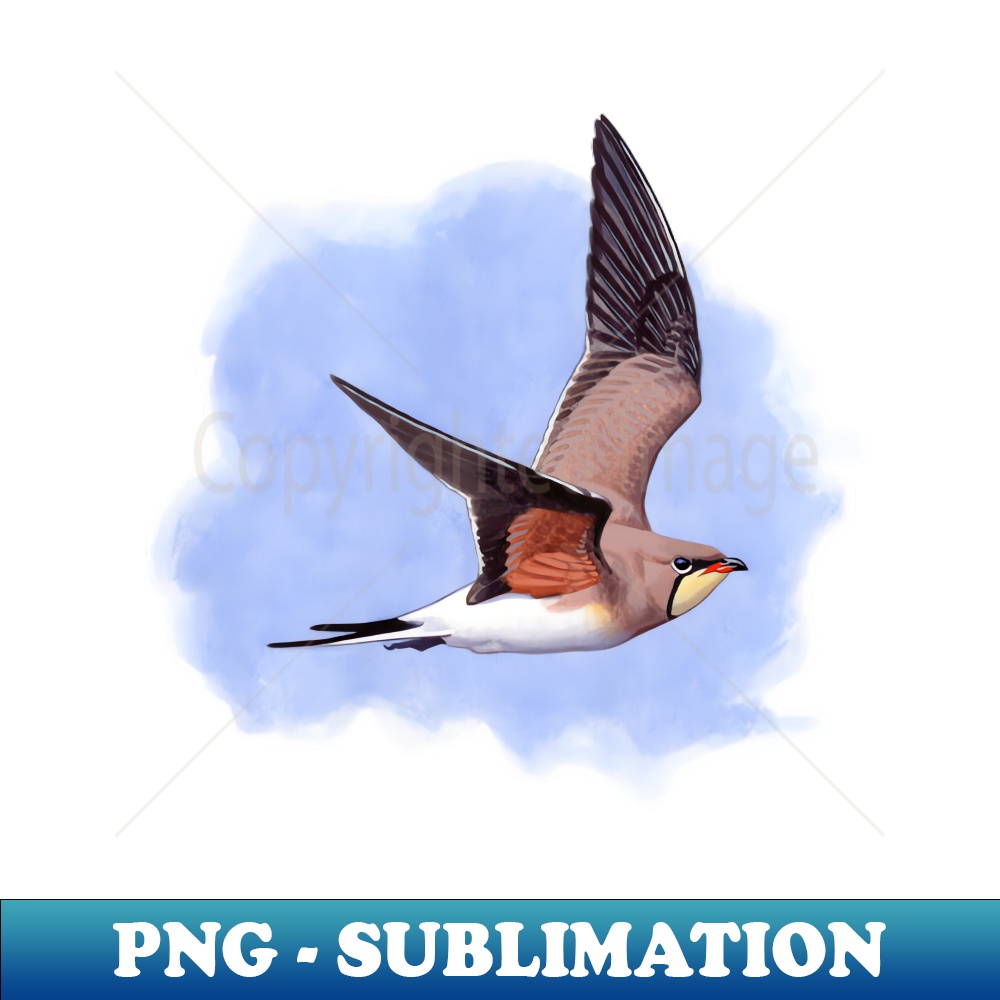 Collared Pratincole watercolour - Modern Sublimation PNG Fil | Inspire ...