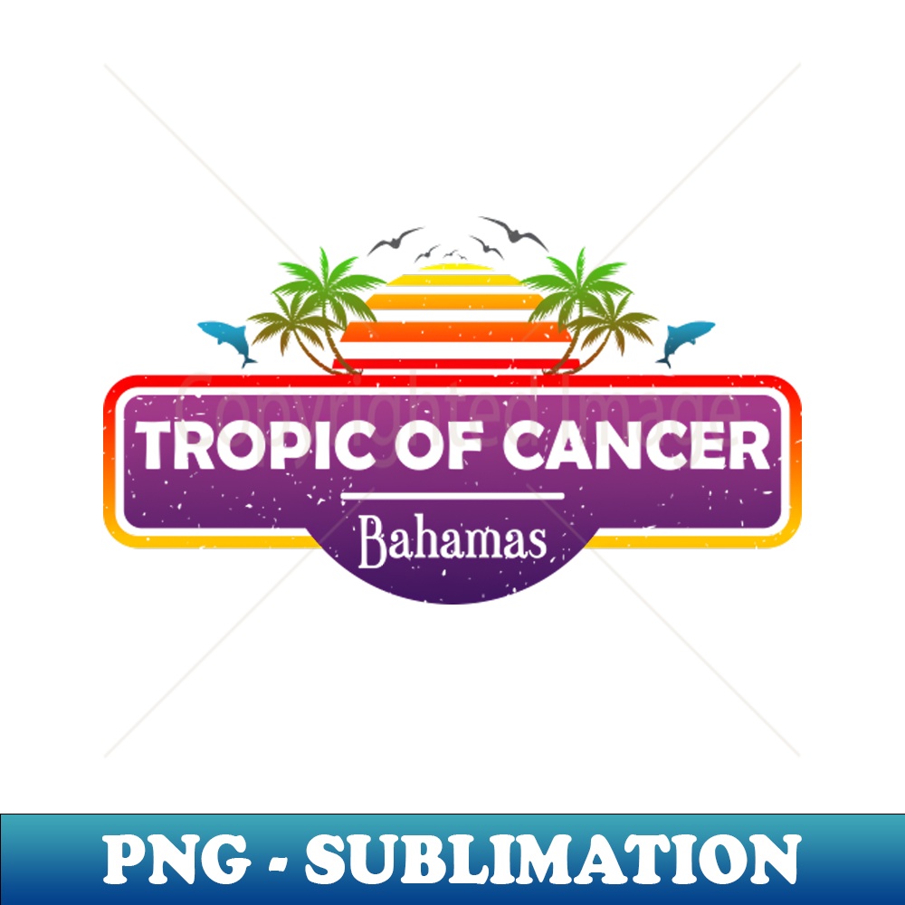 Tropic Of Cancer Beach Bahamas Palm Trees Sunset Summer - St | Inspire ...