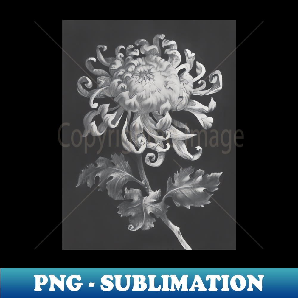 Chrysanthemum Delight - Stunning Monochromatic Flower Art - | Inspire ...