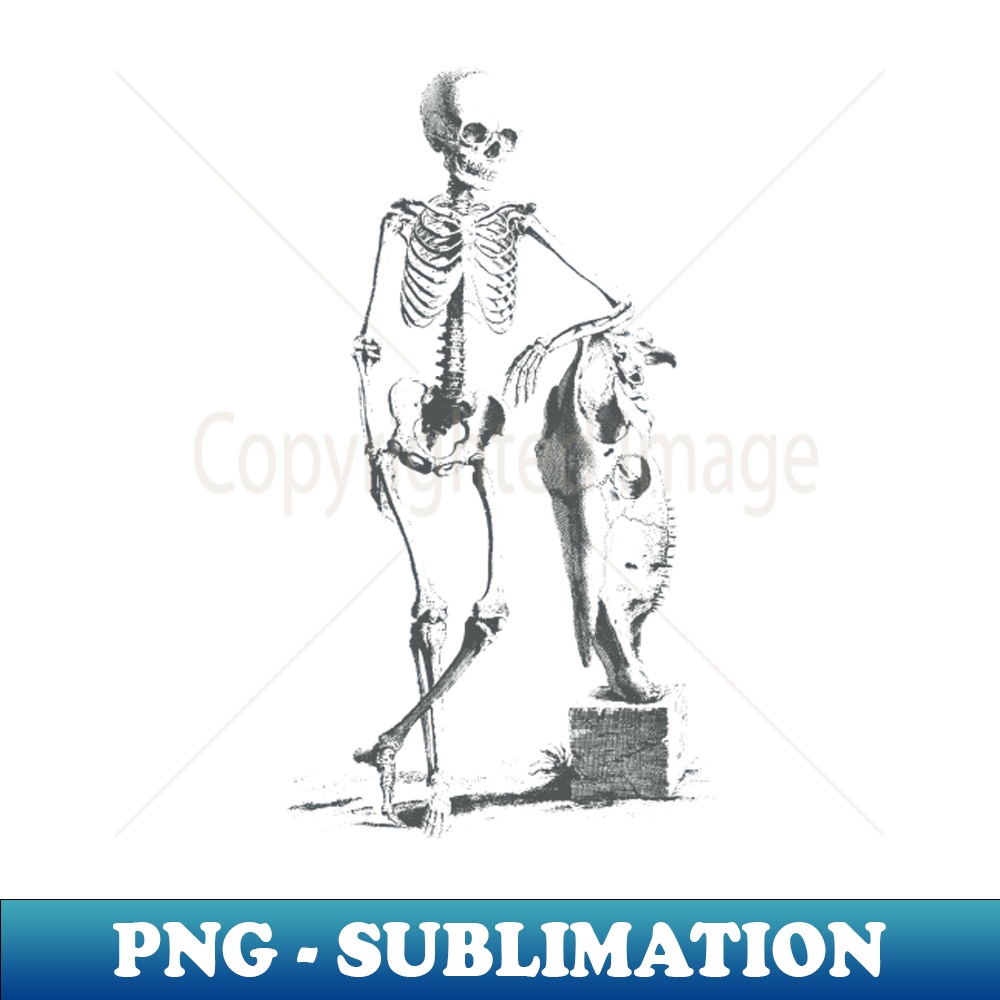 Anatomy of the Bones - Aesthetic Sublimation Digital File - | Inspire ...