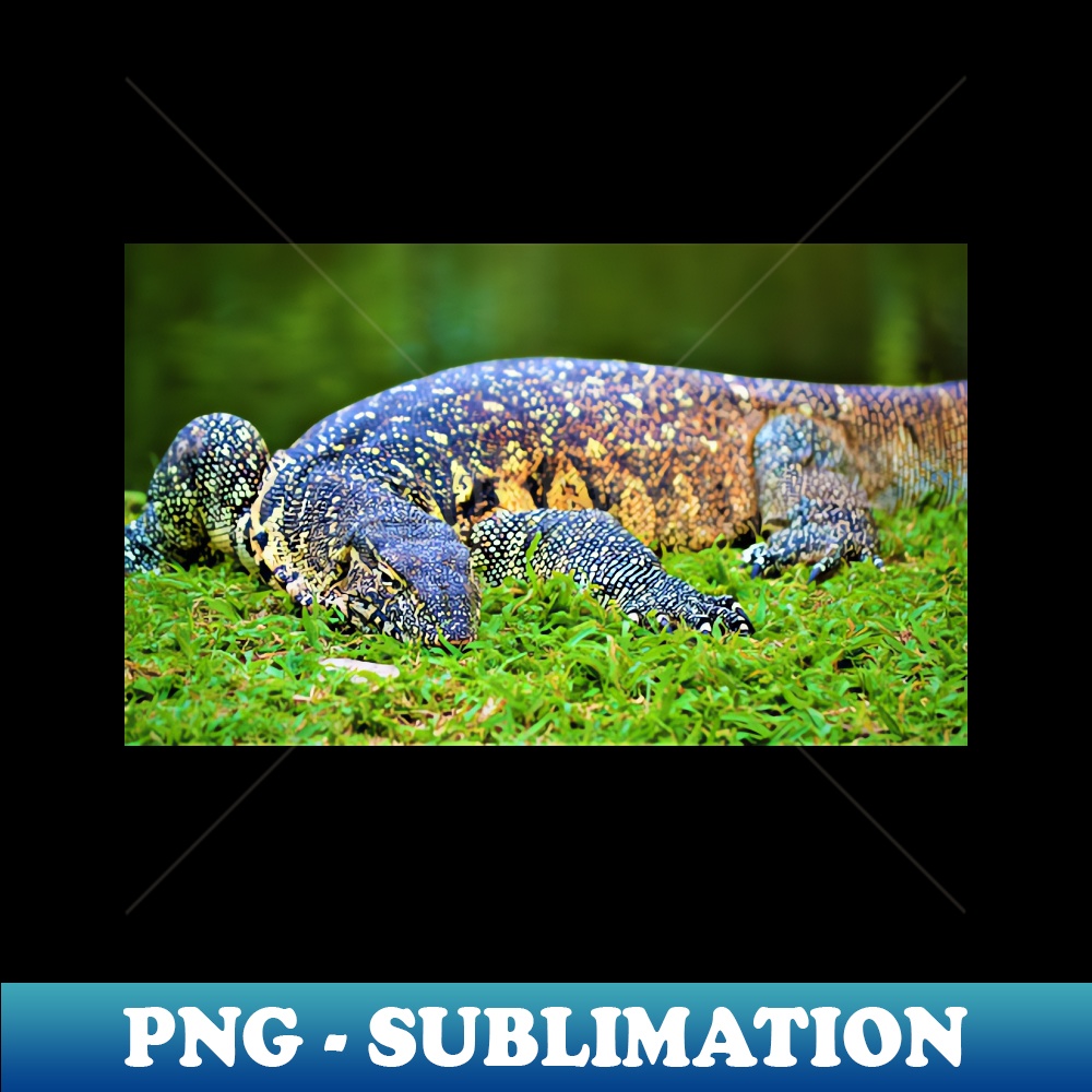 Giant Monitor Lizard 2 - Unique Sublimation PNG Download - F | Inspire ...