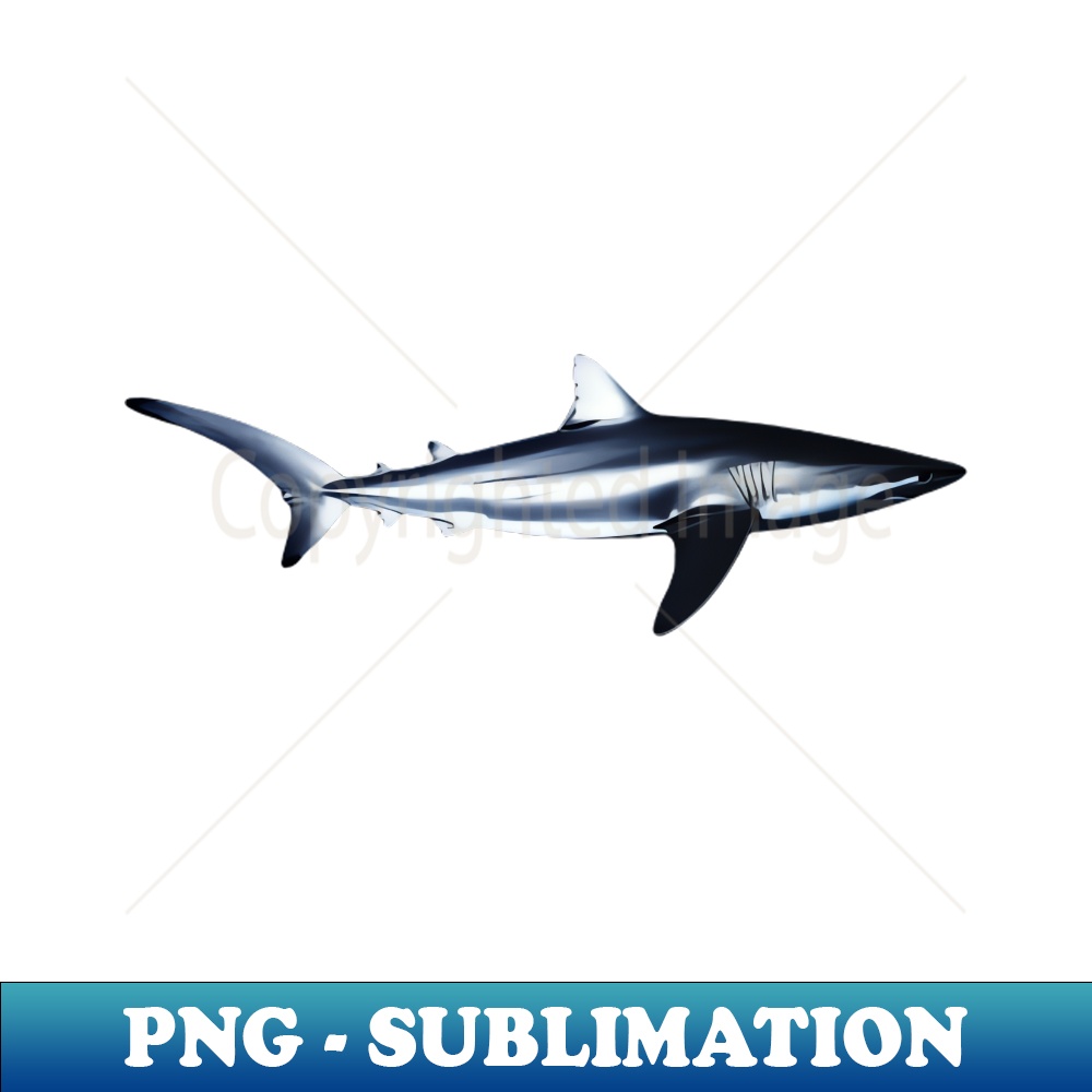 Stunning Shark - PNG Transparent Sublimation File - Unleash | Inspire ...