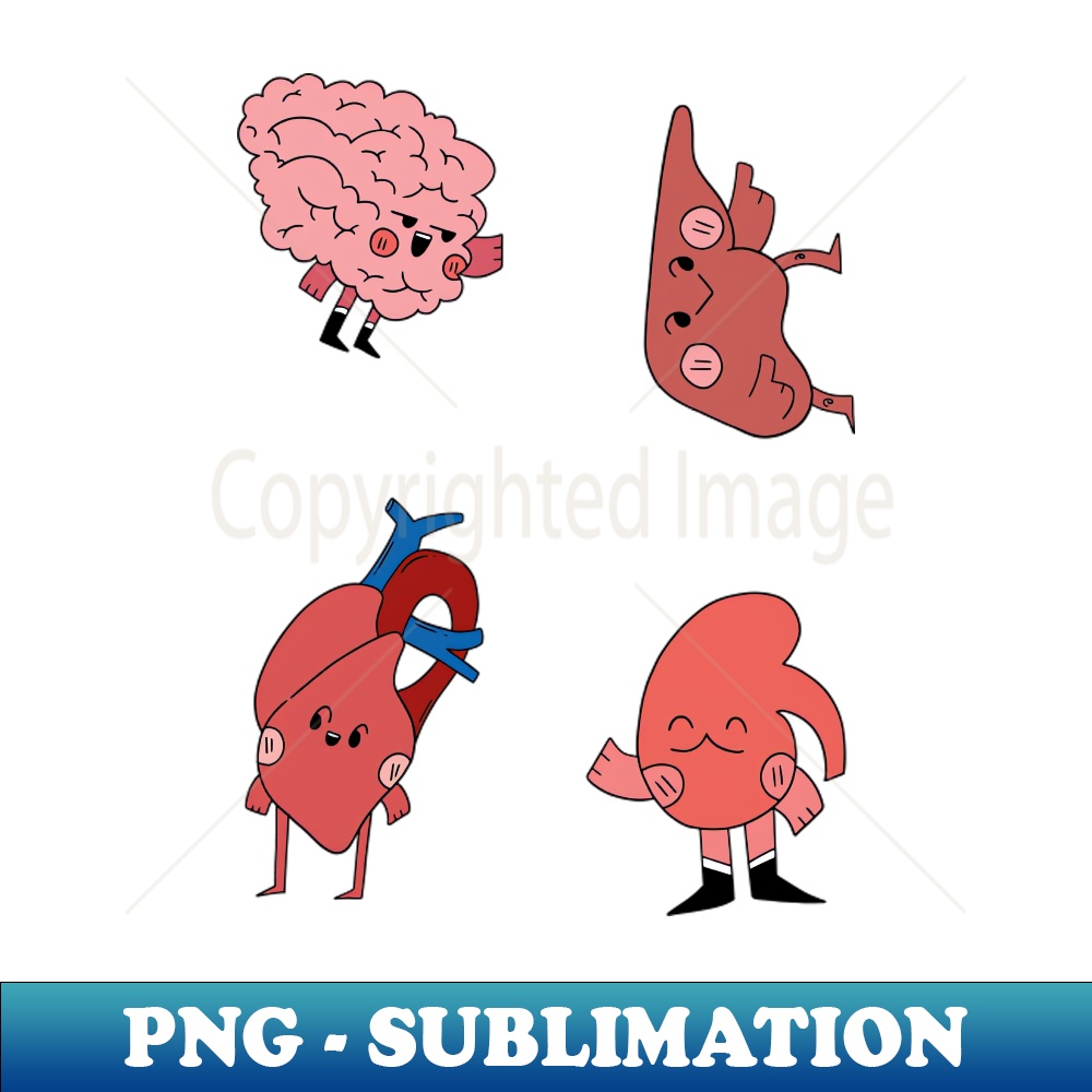 Cute Anatomy Internal Organs Body - Artistic Sublimation Dig - Inspire ...