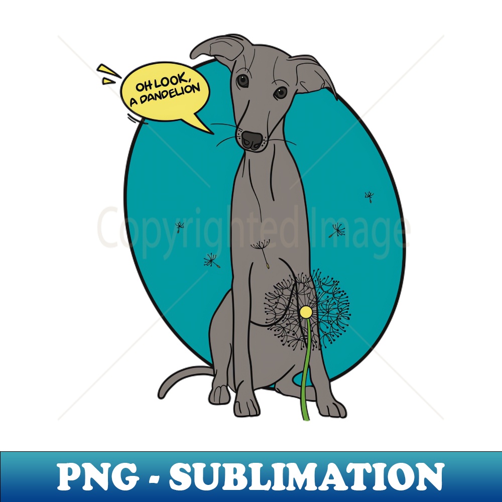 Funny greyhound design Grey Italian greyhound with a dandeli | Inspire ...