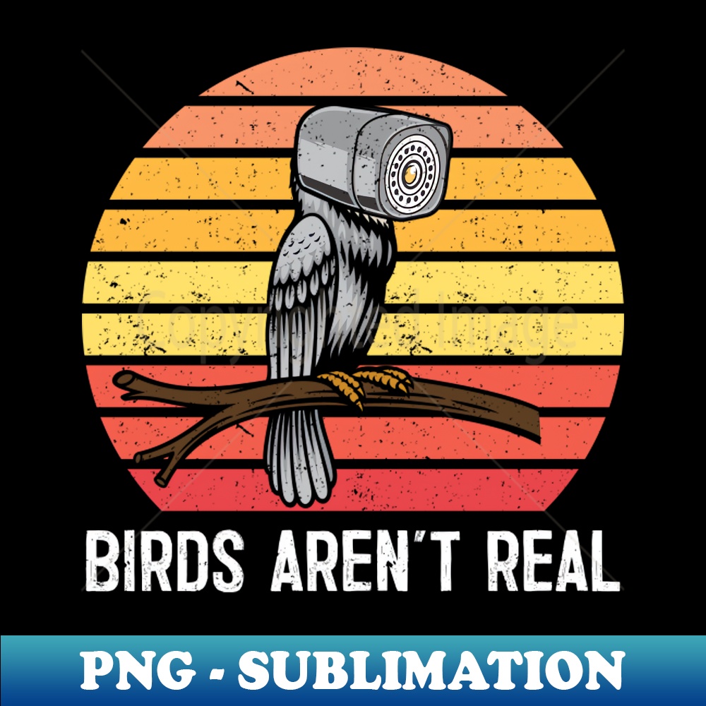 Bird Drone If it flies it spies Birds arent real - Digital S | Inspire ...