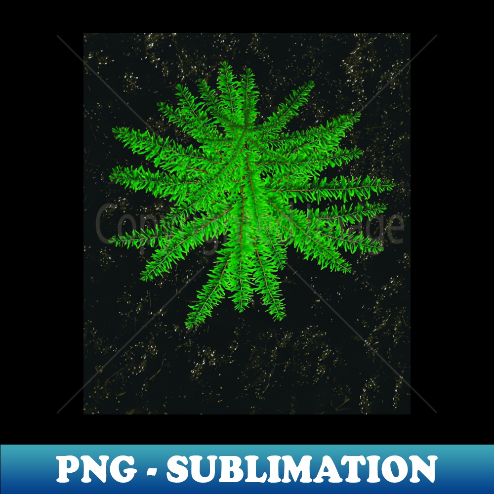 Tree - PNG Transparent Digital Download File for Sublimation | Inspire ...