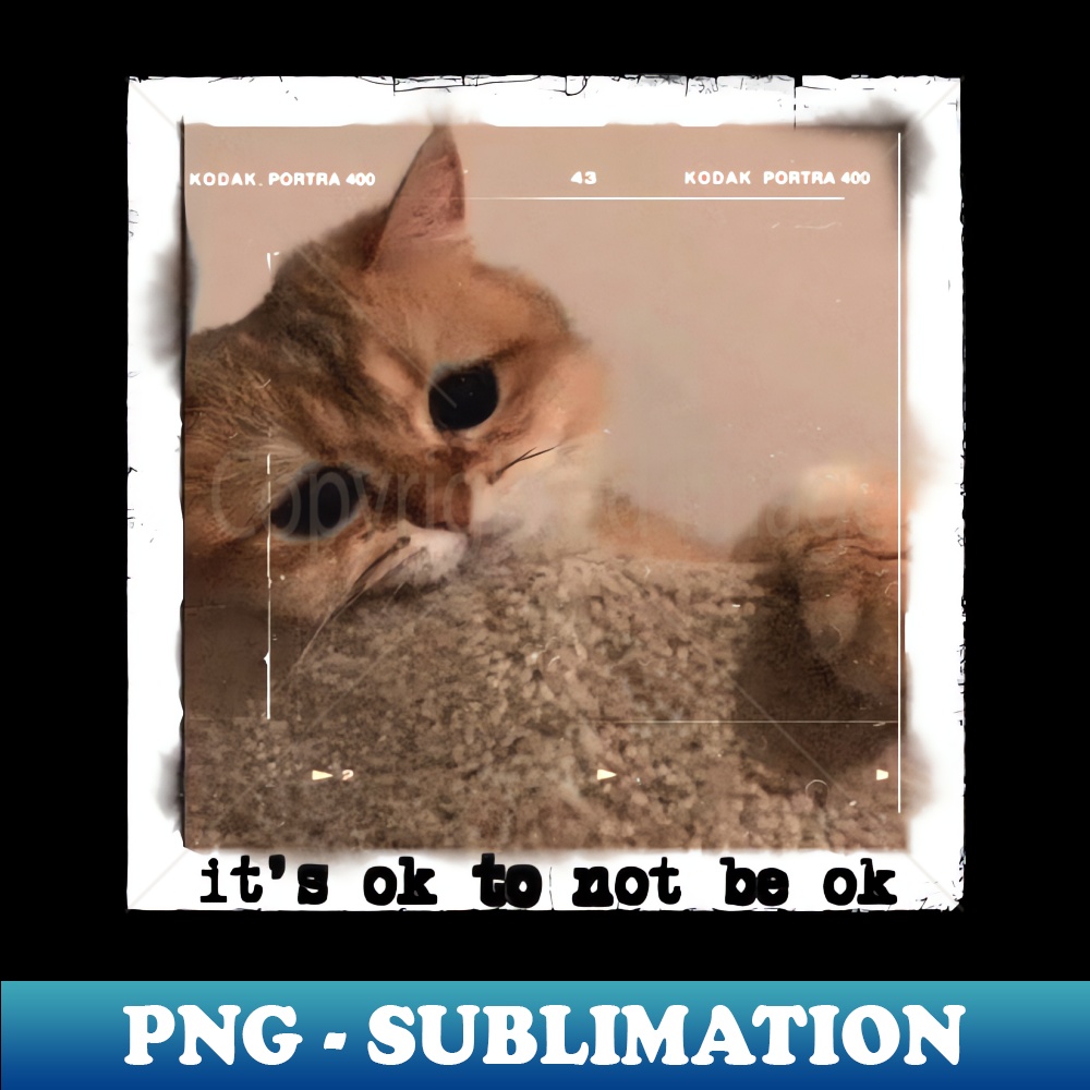 Sad Cat Meme - Retro PNG Sublimation Digital Download - Stun | Inspire ...