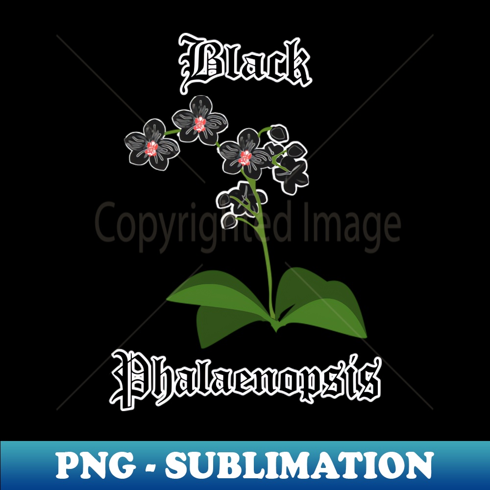 Black Phalaenopsis Gothic orchid flowers - Decorative Subli | Inspire ...