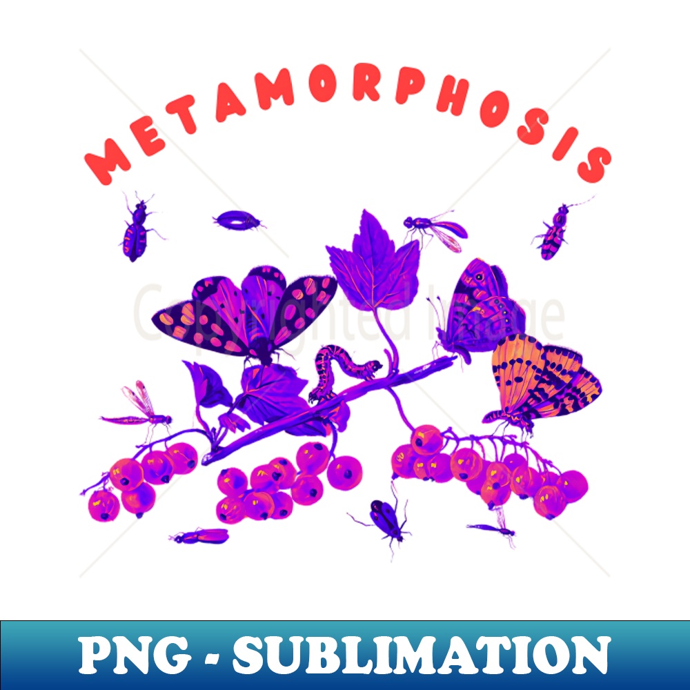 Metamorphosis A beautiful Creature Journey - Instant Sublima | Inspire ...