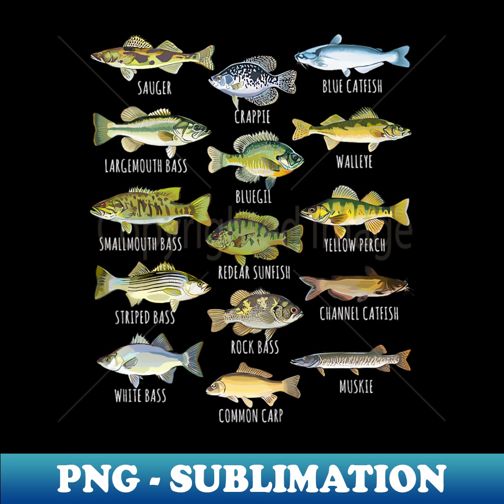 Kids Fish Species Biology Types Of Freshwater Fish Fishing - | Inspire ...