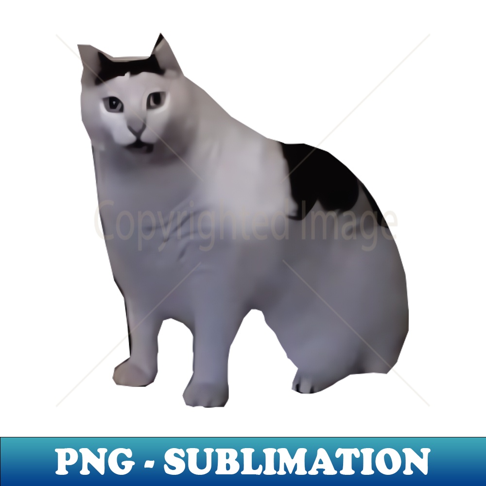 Huh Cat Meme - PNG Sublimation Digital Download - Bring Your | Inspire ...