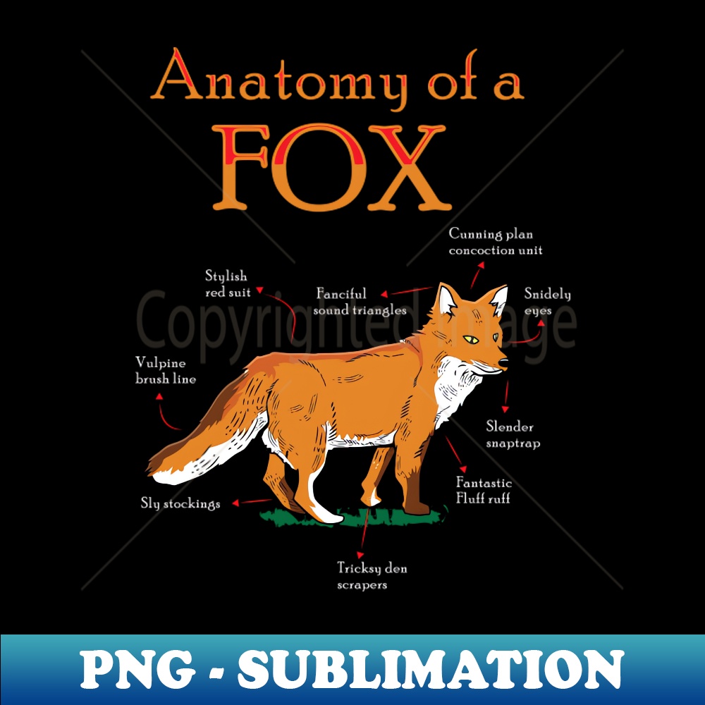 Cute and funny fox animals anatomy- memes t-shirt gift - Dec | Inspire ...