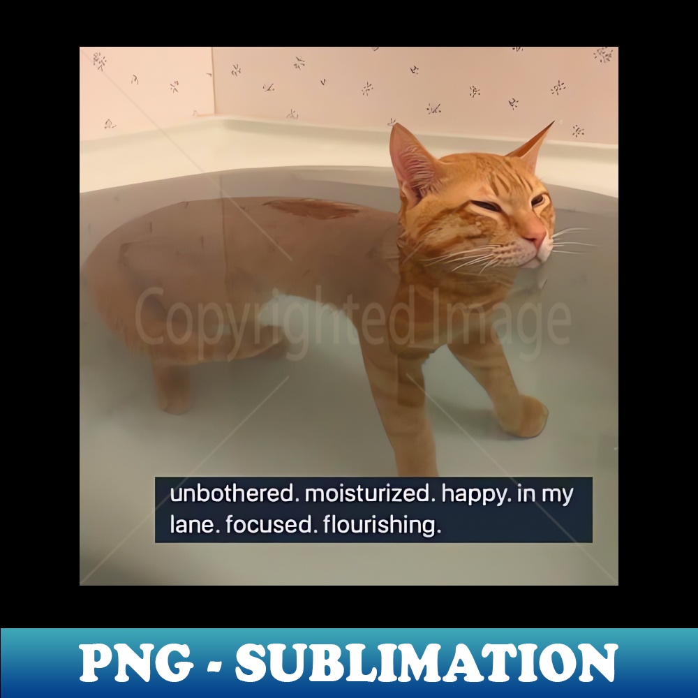 Orange cat meme tshirt - PNG Transparent Digital Download Fi - Inspire ...