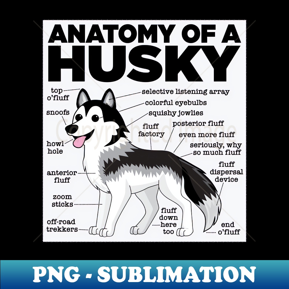 Anatomy of a Husky - Instant Sublimation Digital Download - | Inspire ...