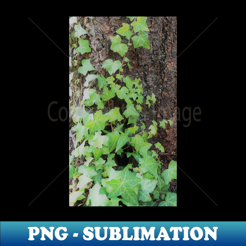 English Ivy on Tree - Instant Sublimation Digital Download - | Inspire Uplift