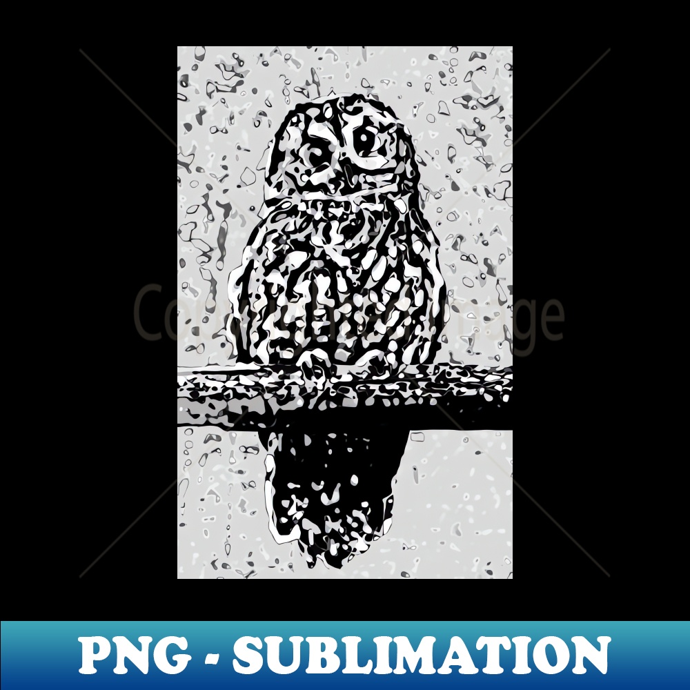 Toot Sweet In Black White - Image Of An Owl On A Perch - Pr | Inspire ...