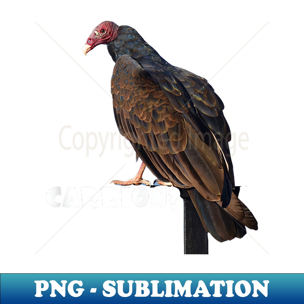 Big Bird of Prey Funny Raptor Turkey Vulture Carrion - Elega | Inspire ...
