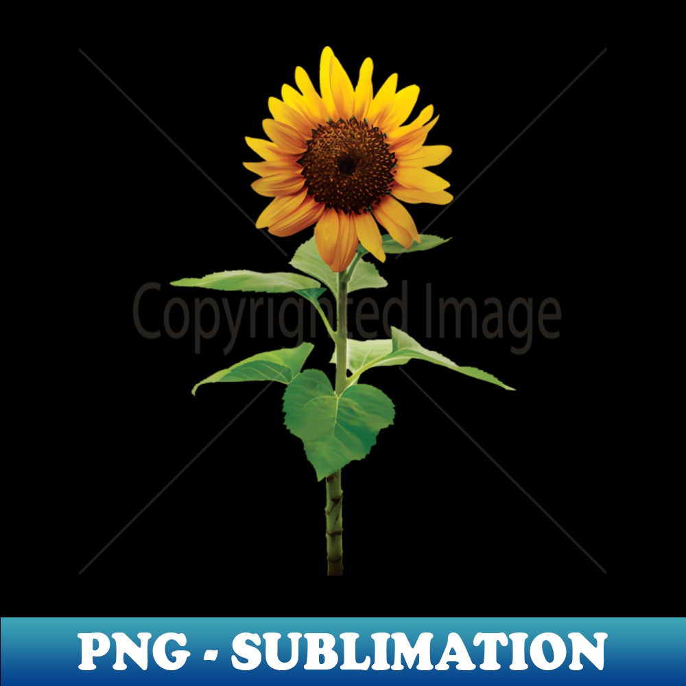 Single Stem Sunflower Yellow Floral Flower - Exclusive Subli | Inspire ...