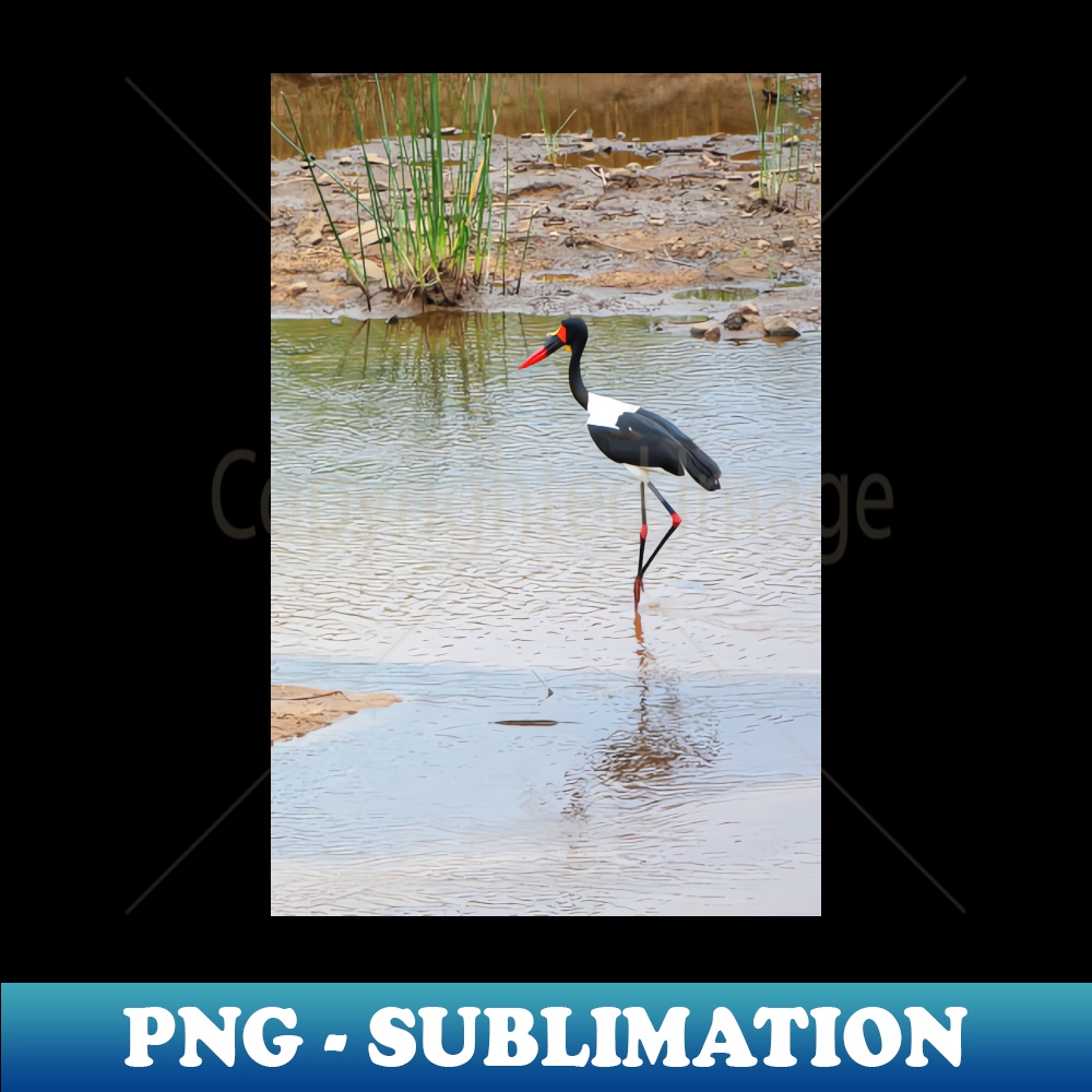 Saddle-billed stork - PNG Sublimation Digital Download - Unl | Inspire ...