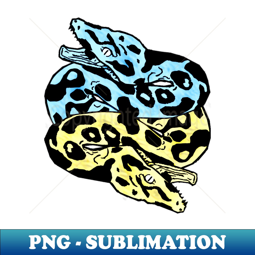 Python Programming - Exclusive Sublimation Digital File - Bo - Inspire ...