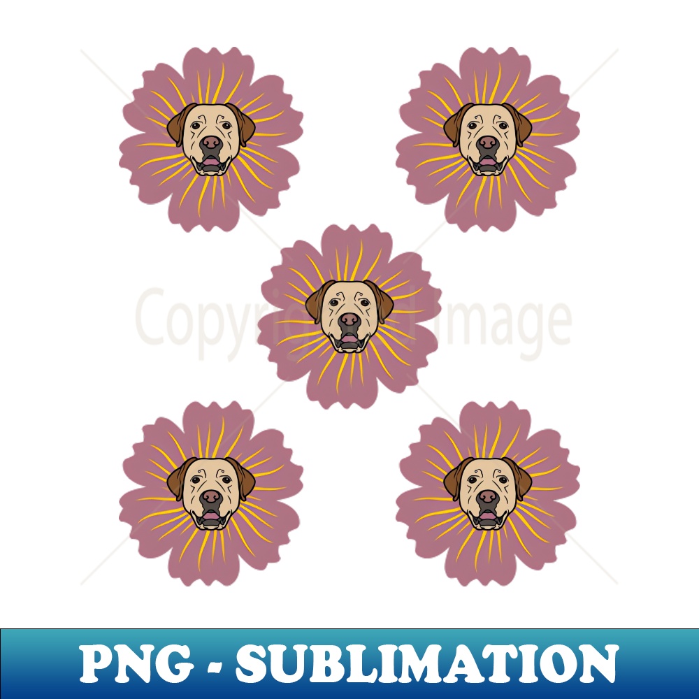 Labrador Retriever Head in Spring Flower - Instant PNG Subli | Inspire ...