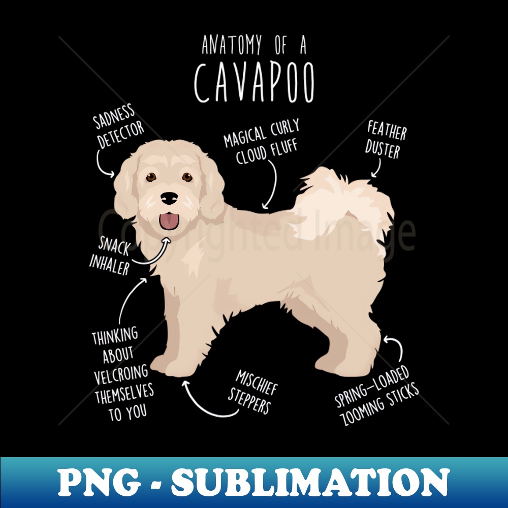 Cavapoo Dog Anatomy - Aesthetic Sublimation Digital File | Inspire Uplift