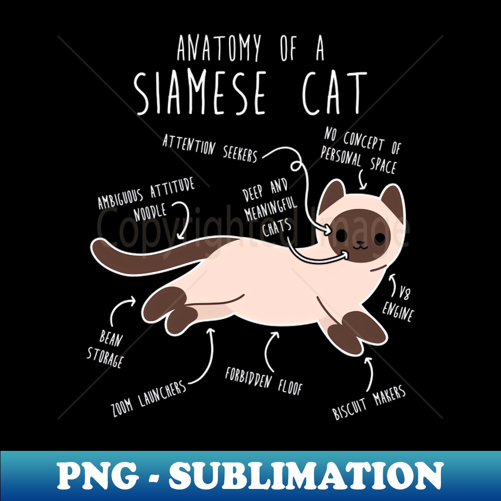 Siamese Cat Anatomy - Instant PNG Sublimation Download | Inspire Uplift