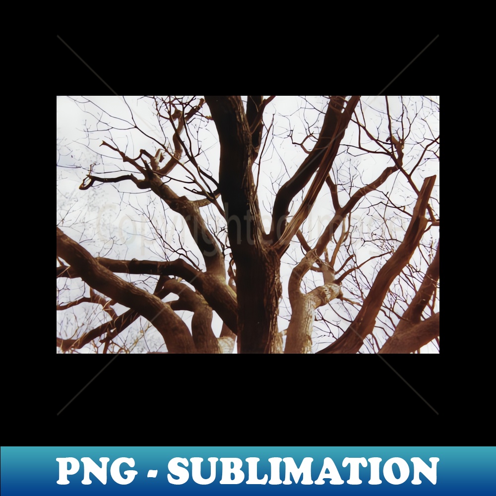 In the trees - PNG Transparent Sublimation Design | Inspire Uplift