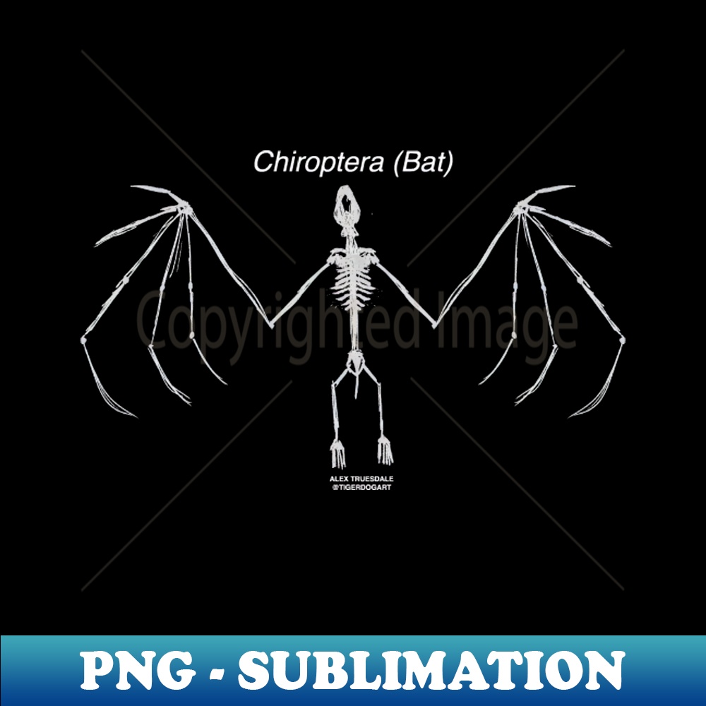 Chiroptera Bat Skeleton - Special Edition Sublimation PNG Fi | Inspire ...